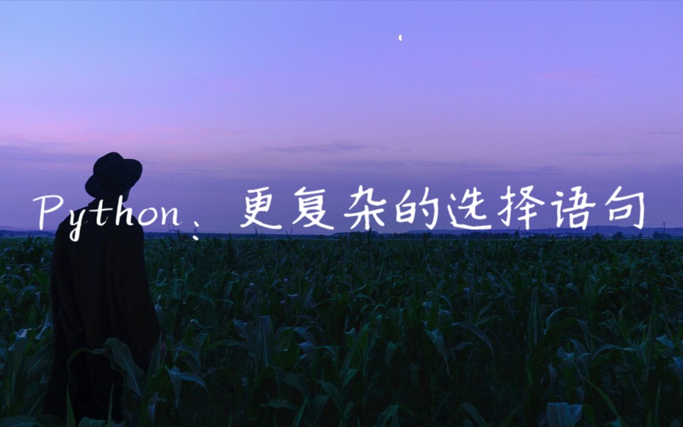 【Python】DAY8:更复杂的选择语句