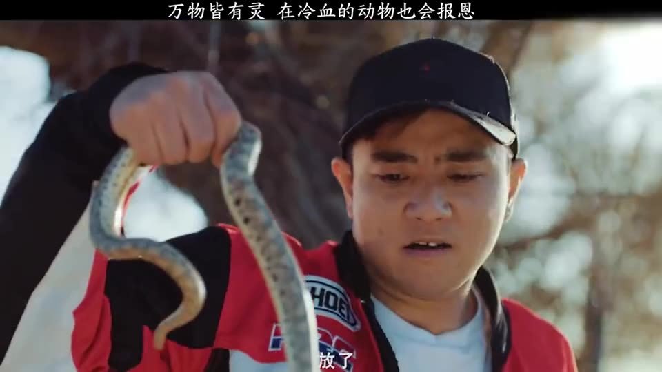你不经意的一次善意,也许能救你一命