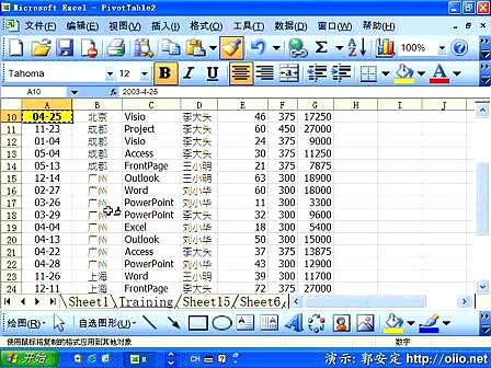 Microsoft Office Excel 2003基础视频教程(24)