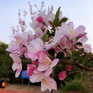 名字不能起的太短 