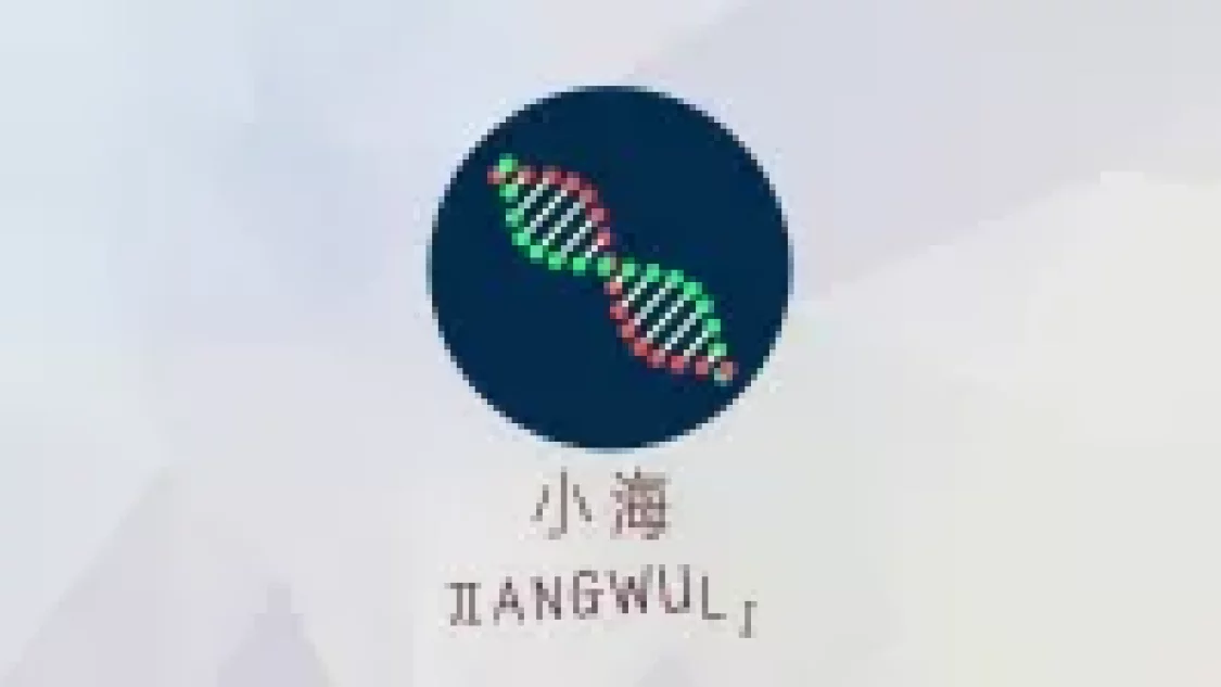 cg老海 AE DNA动画 MG扁平效果