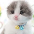 爱自己一生一世ߍ 