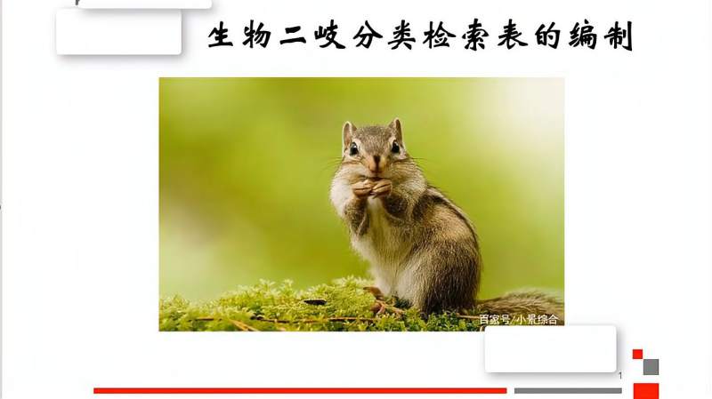 七年级科学生物分类