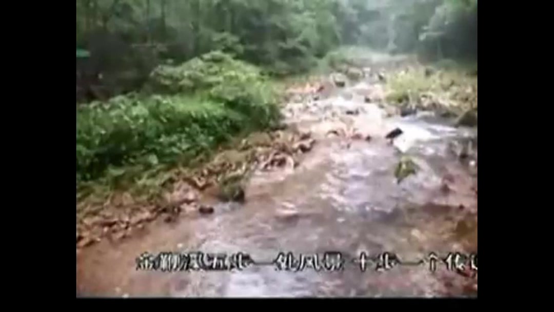 张家界旅游金鞭溪风光视频