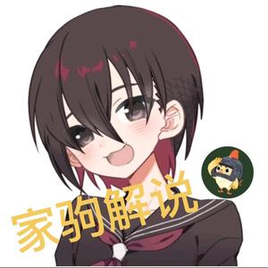 家驹解说 