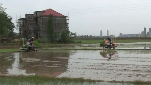 我县举行水稻生产全程机械化现场观摩会