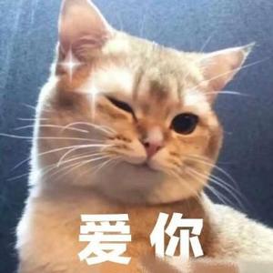 风趣青涩饼干Dy 