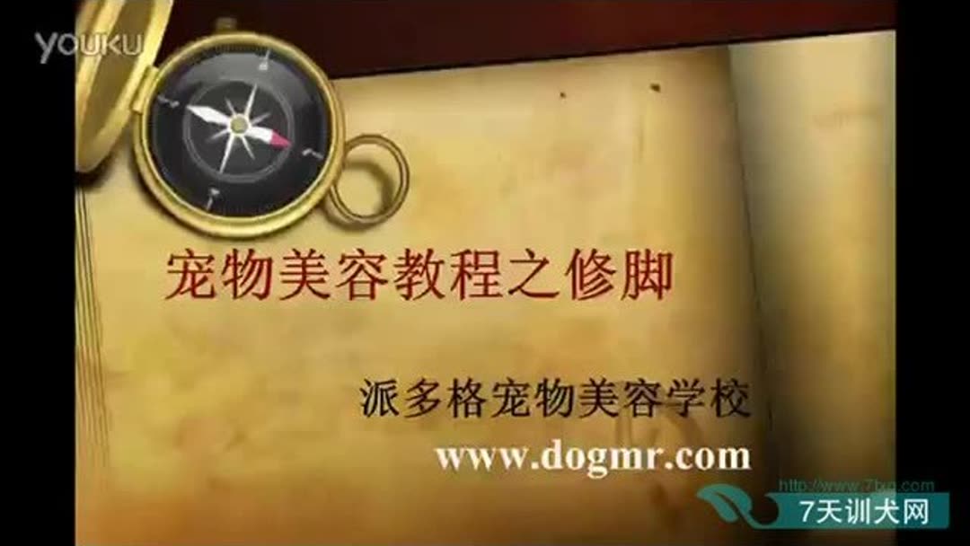怎么训练狗狗在固定的地方大小便