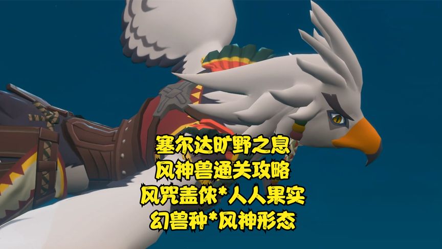 塞尔达风神兽通关攻略,风咒盖侬-人人果实*幻兽种*风神形态