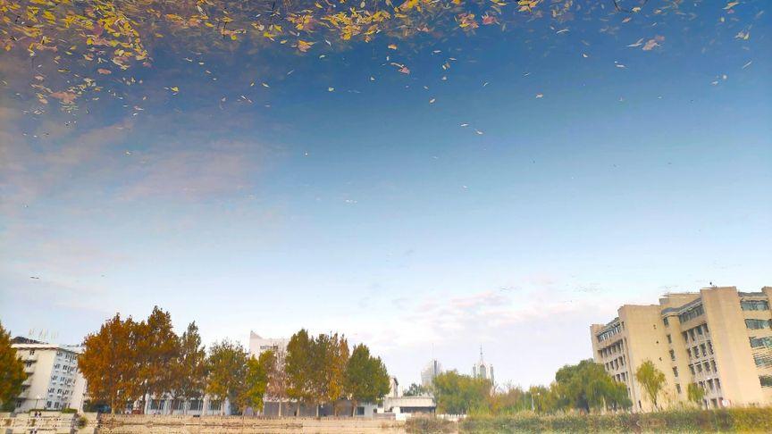 怎样根据题意设定原假设与备择假设