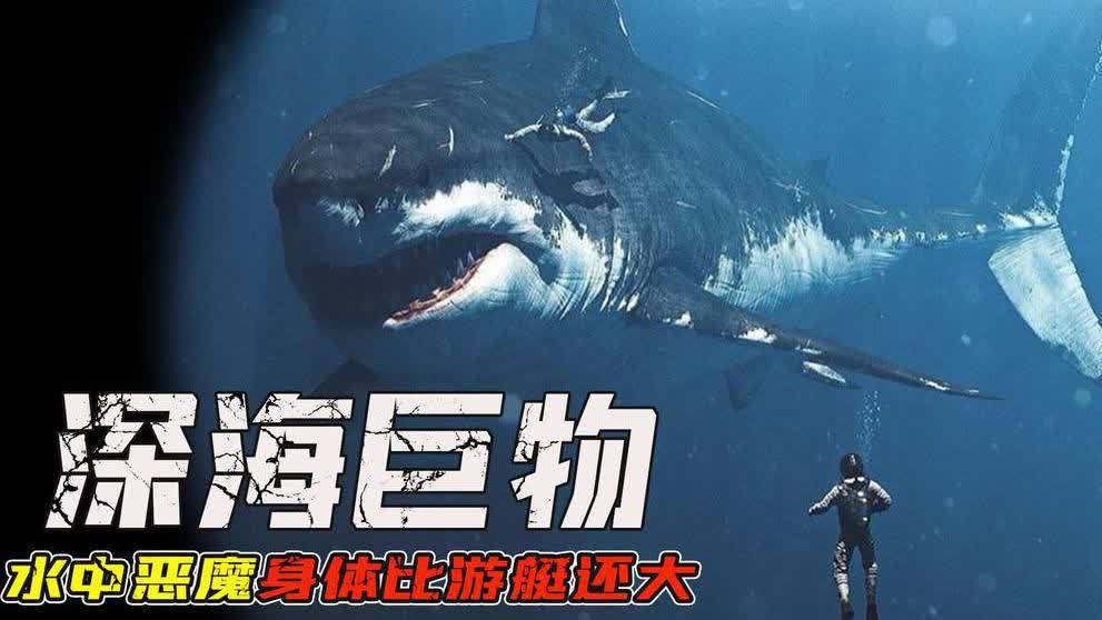 盘点海洋最强生物,比轮船还大深海巨兽,巨齿鲨第一位置不保了