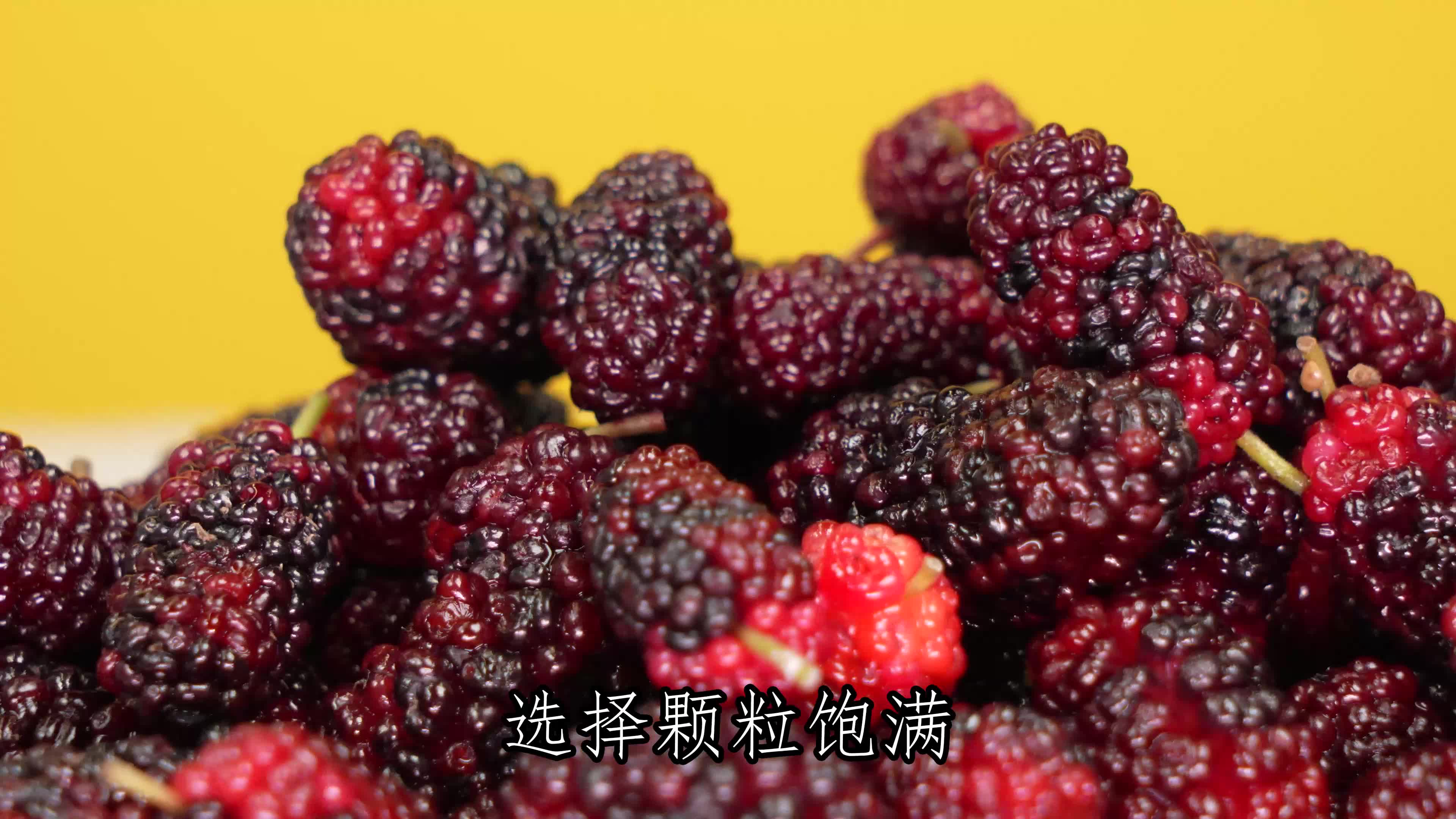 自泡桑葚 酒,养生党必看