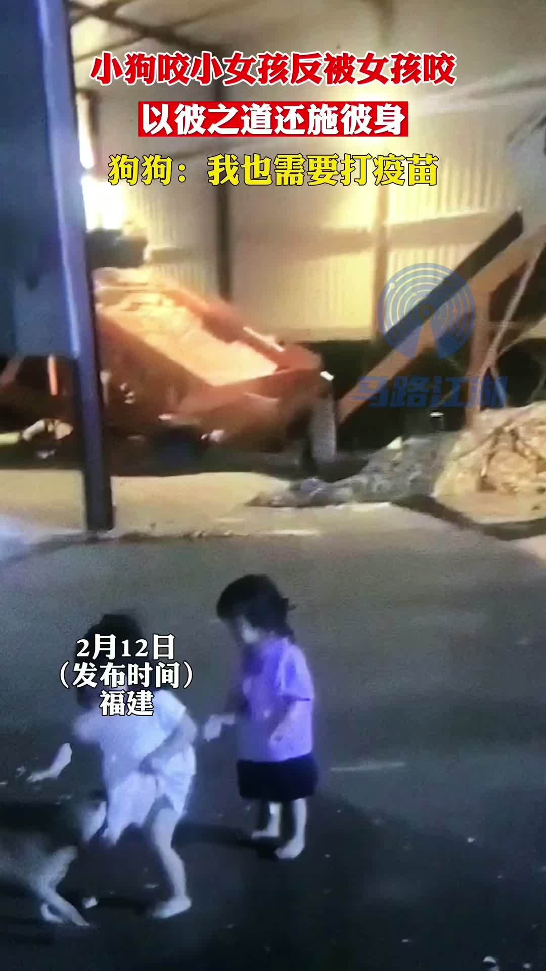 小狗咬小女孩反被女孩咬,网友:小狗咬她是假,她咬小狗是认真的#万万...