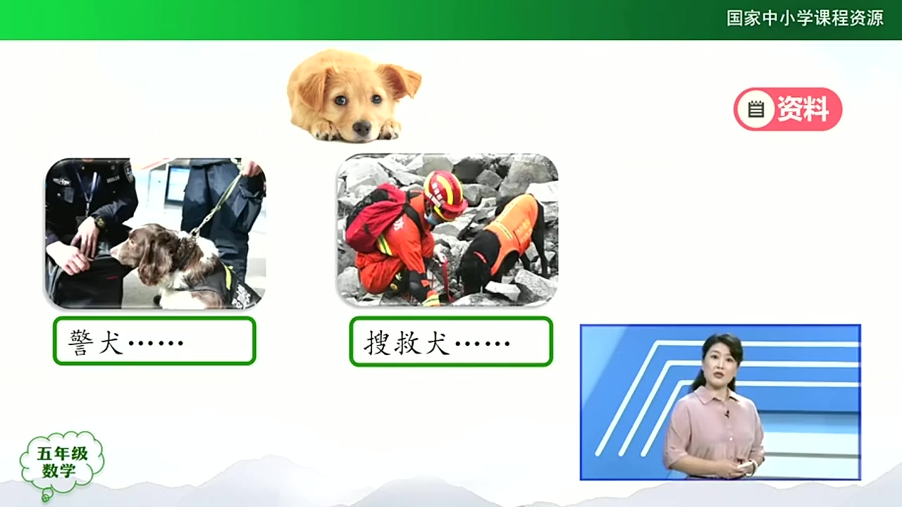 五年级数学上册人教版精讲合集配电子版知识点习题 小学数学五年级...