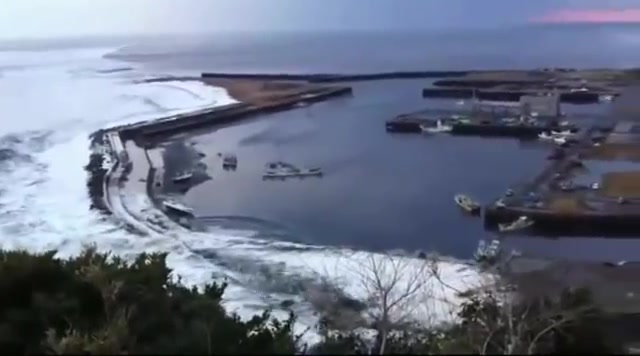 海啸袭击日本(2011)