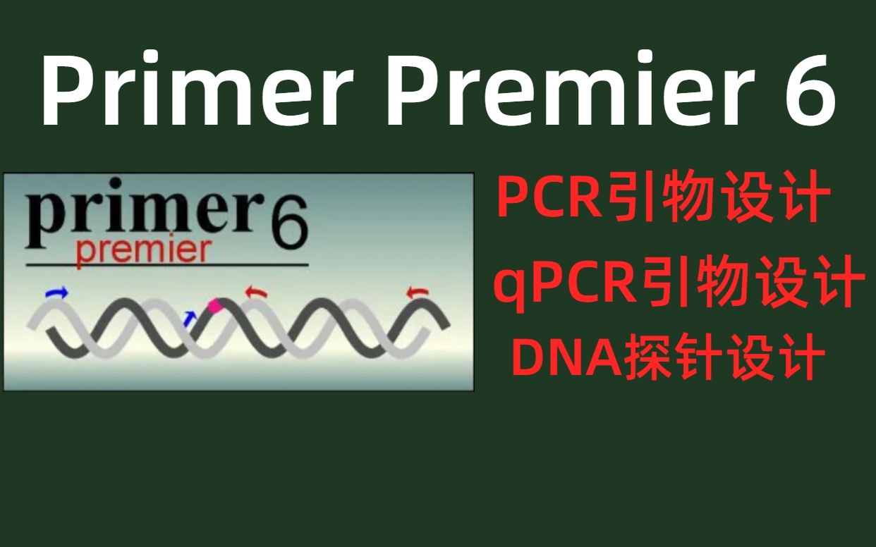 Primer Premier 6.0【PCR和qPCR引物设计】安装教程(win和mac)