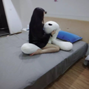周洁菲233 