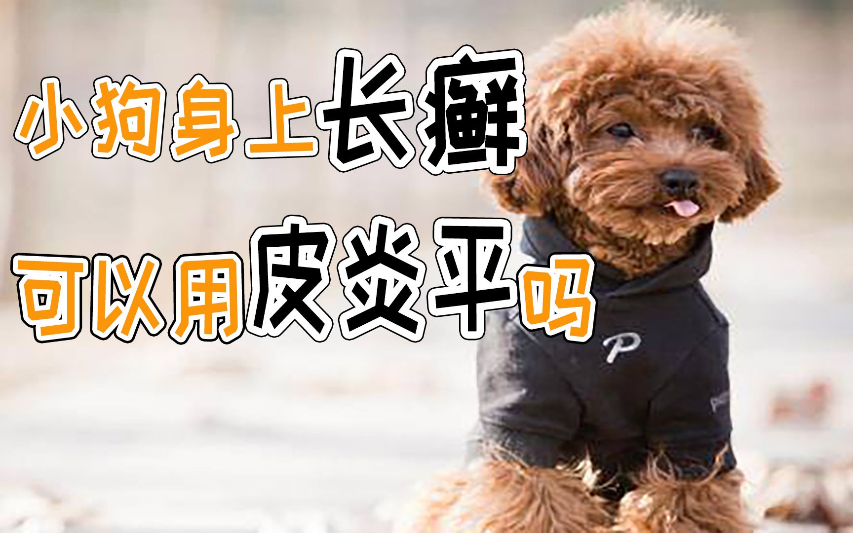小狗身上长癣可以用皮炎平吗