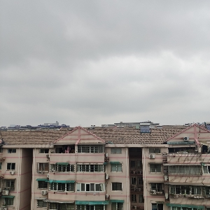 小杨582 