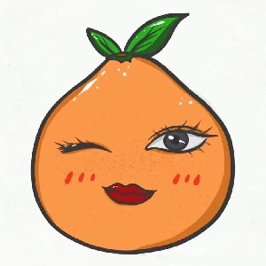 一颗开悟的小桔子 