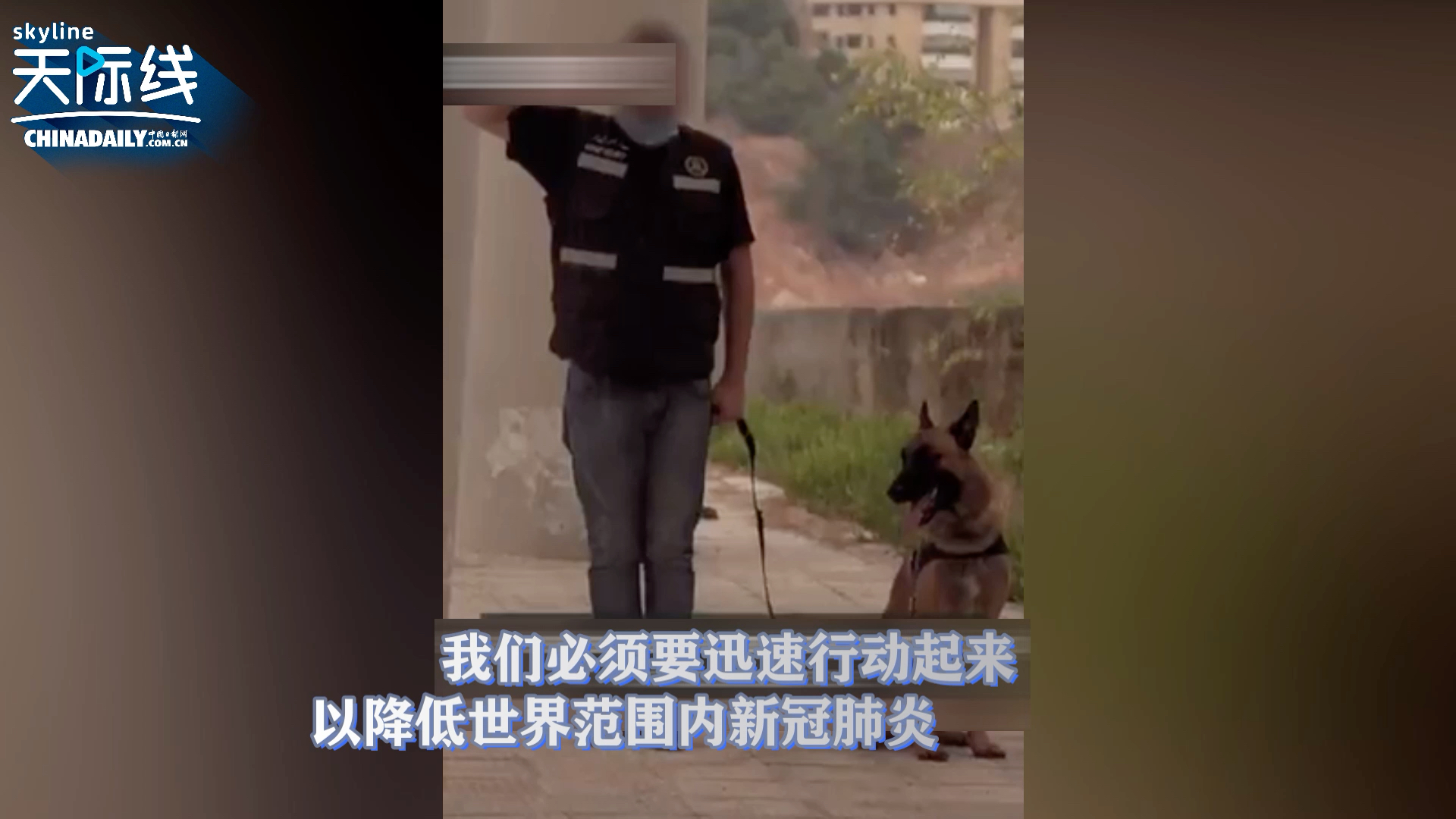 厉害了!黎巴嫩正在训练牧羊犬嗅出新冠病毒的“气味”