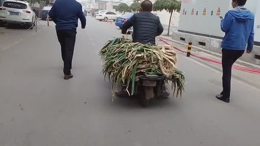 现在流行这种电动车,载货送货杠杠的!