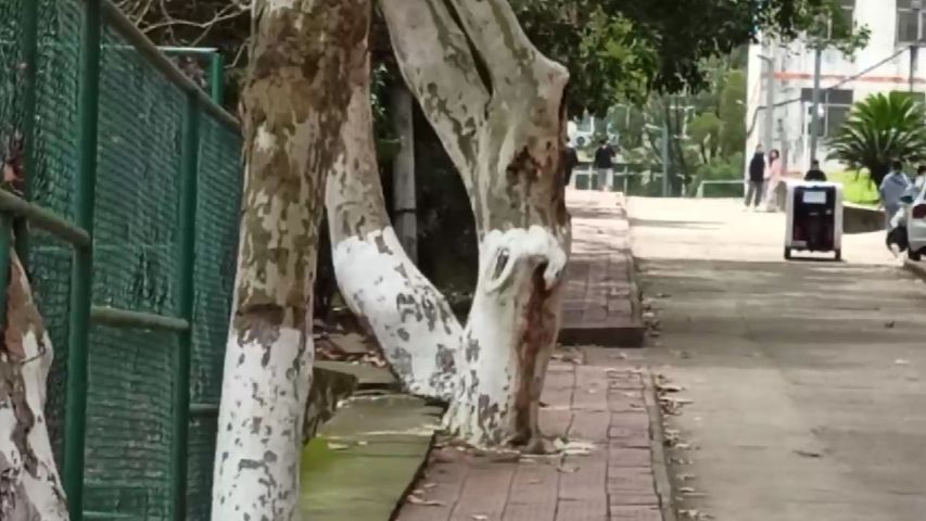 阿里巴巴的菜鸟智能无人快递车来校园啦,信息技术进步真快呀