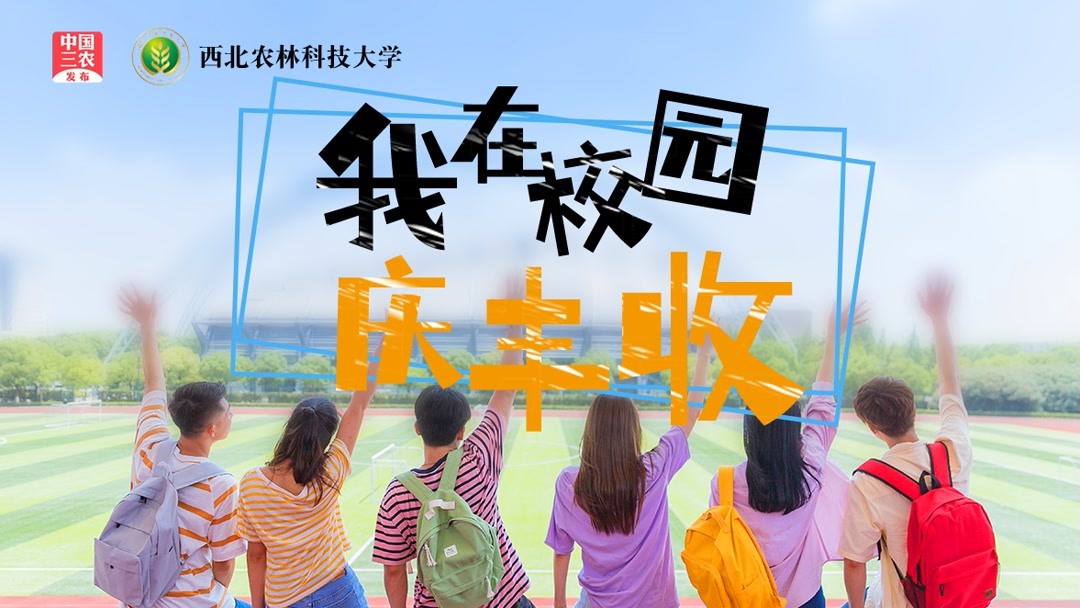 我在校园庆丰收:西北农林科技大学