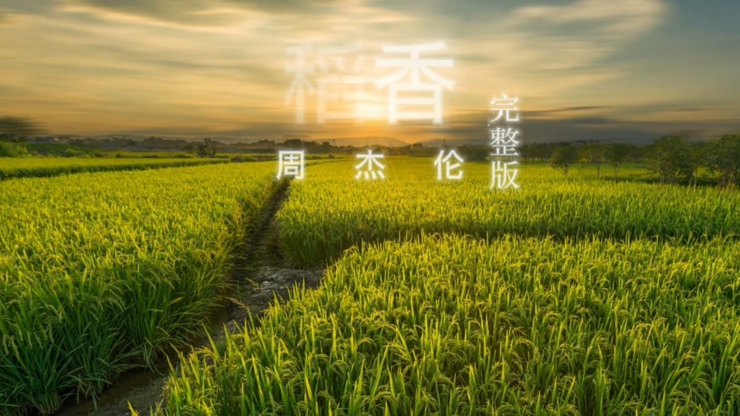 《稻香》-周杰伦