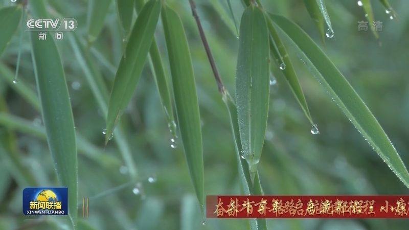 [视频]【奋斗百年路 启航新征程·小康梦圆】绿色发展 铺就全面小康...