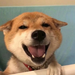 铁道学院马大宝 