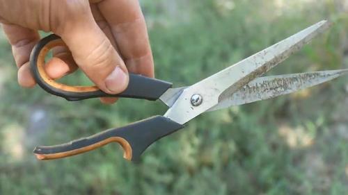 一把破损的剪刀,经过师傅的精心创意,又可以高效的使用了#手工diy