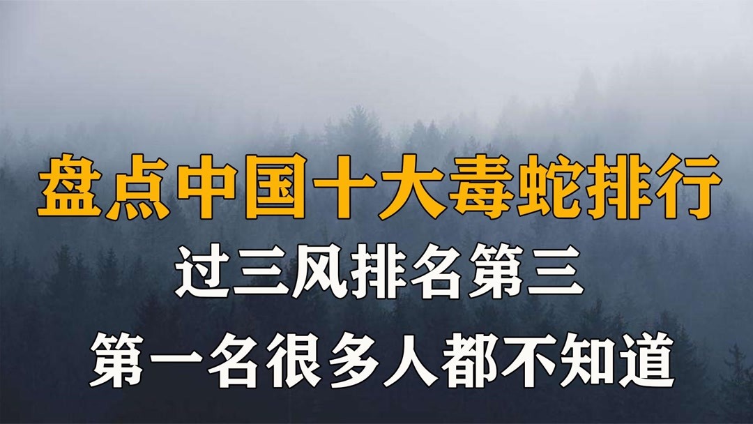 盘点中国十大毒蛇排行,过山风排第三,第一名很多人都不知道