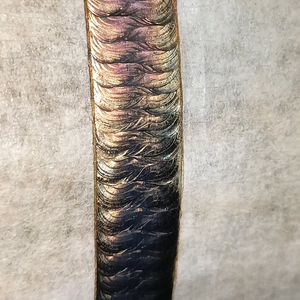 流浪焊（培训咨询） 