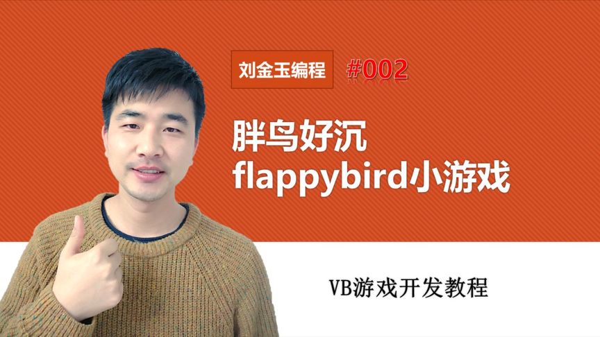 VB游戏开发#002 胖鸟好沉flappybird小游戏 #刘金玉编程