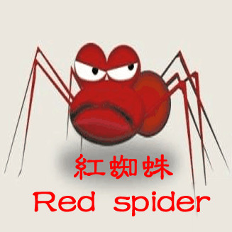 红蜘蛛网络天下 