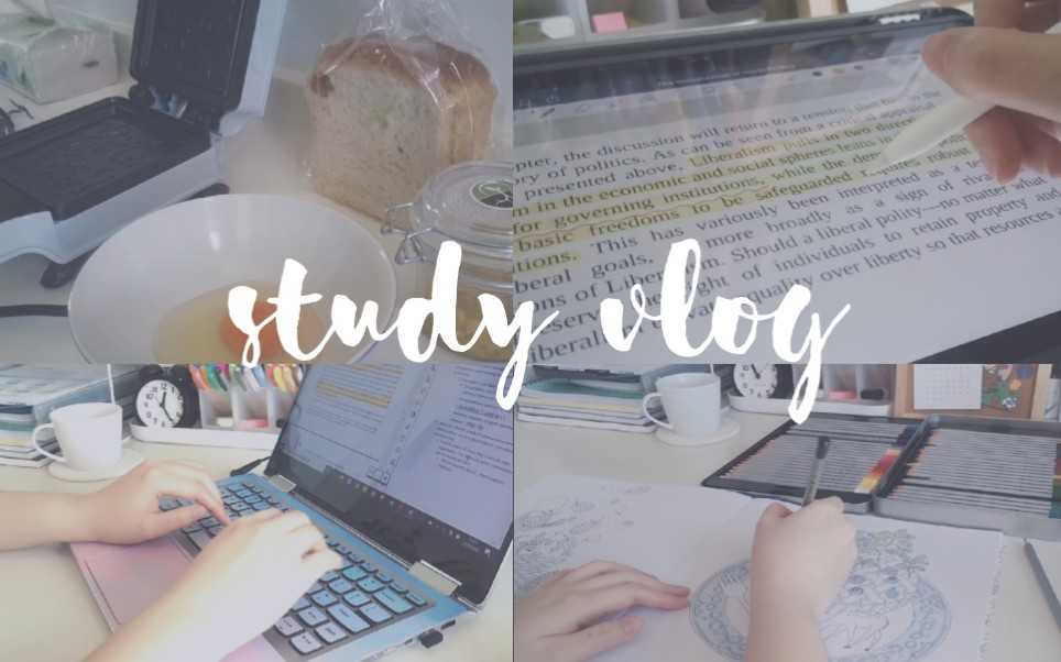 Study Vlog/研究生的高效学习日常/iPad学习/读文献/OneNote整理笔记/...