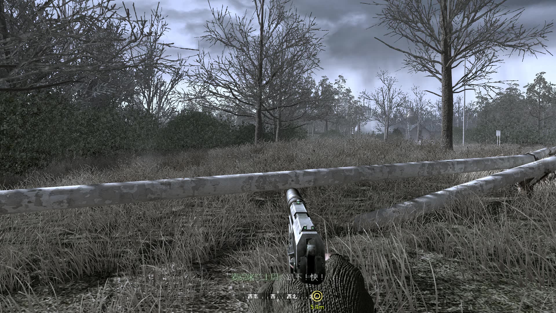 【使命召唤4:现代战争1】13.伪装起来(AllGhilliedup遮蔽严实)-普莱斯:...