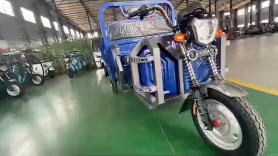 飞鸽电动车