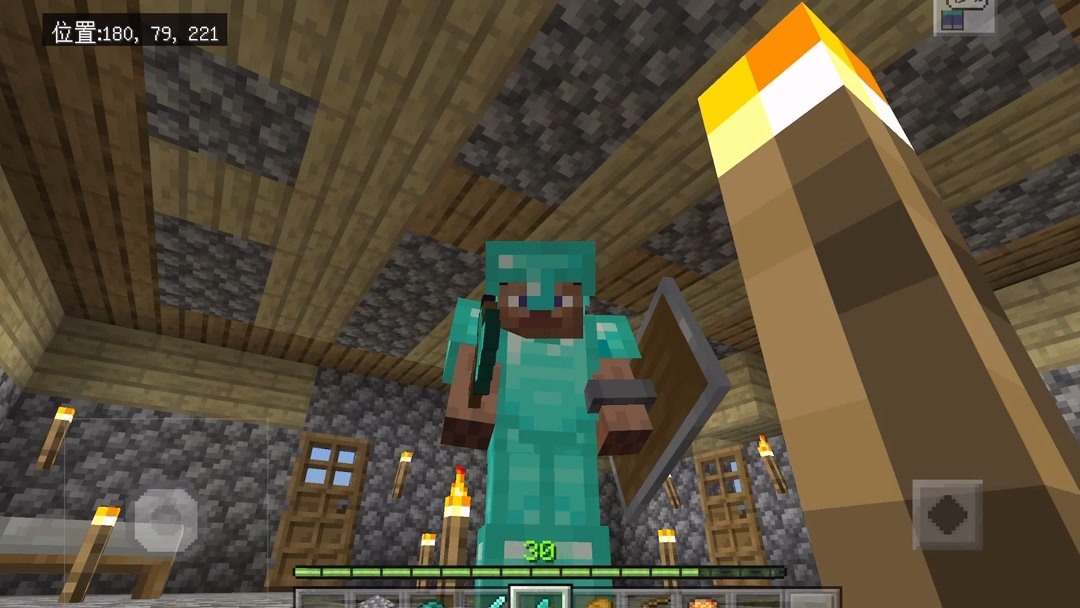 我的世界只种田。