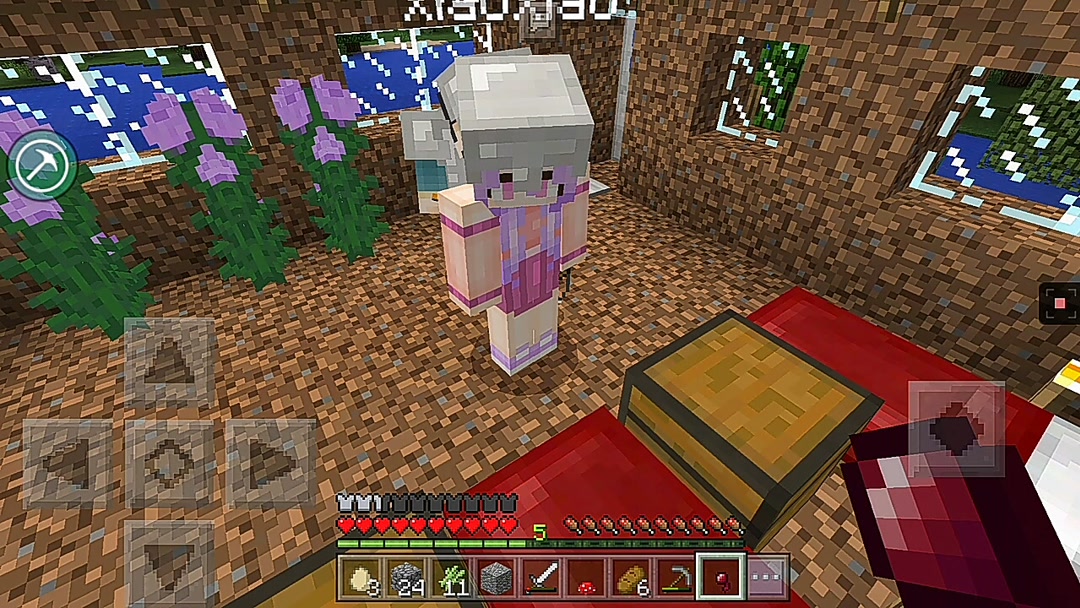 《我的世界小梦》多人生存第一集(下)