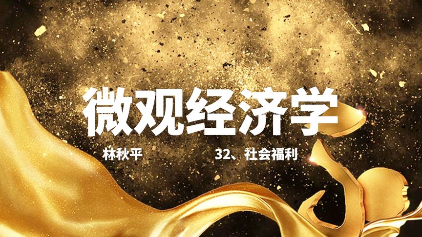 32、微观经济学之社会福利