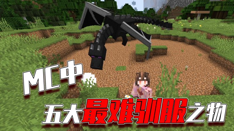 mc最难驯服的动物是谁?末影龙排最后,第一名驯服了也不跟你走!