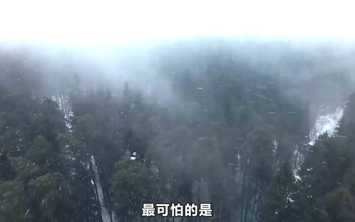 本世纪最严重的一次火山爆发——汤加火山爆发!