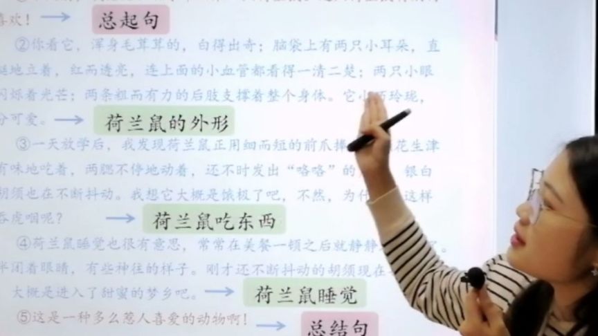 三年级语文春季班第三讲～认识文章总分总结构3