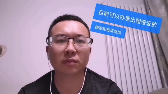 目前可以办理出国签证的国家和签证类型