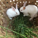 喜欢喝茶的叔仲其雨 