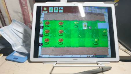 自制,植物大战僵尸贝塔版EX模式第一大关上