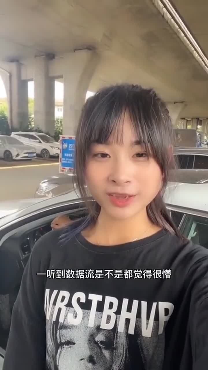 汽车108个分析数据流的技巧都在这个书里面修车