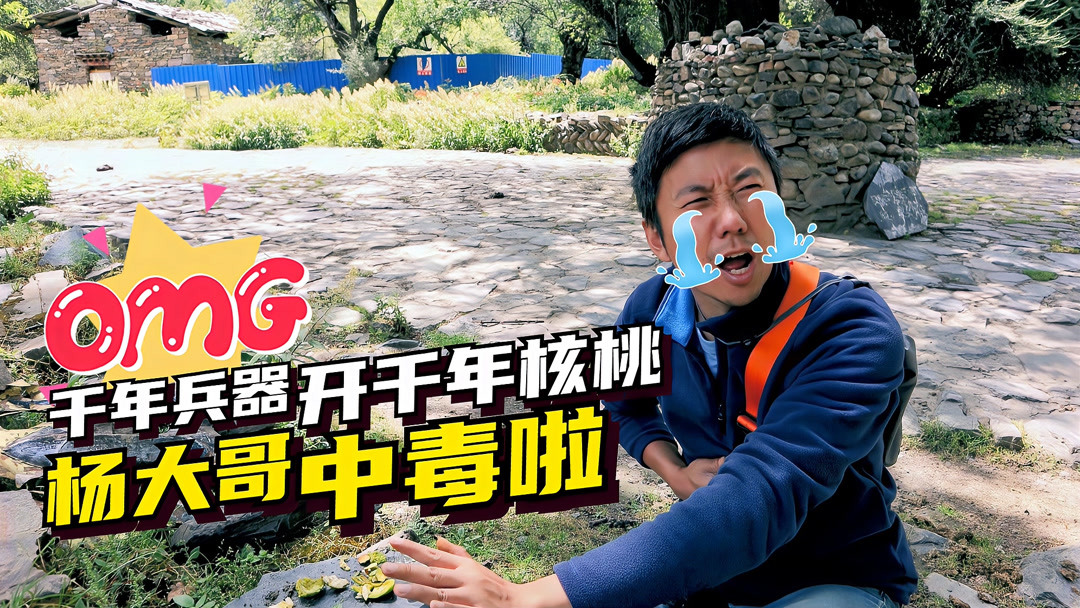 找到千年核桃树再用千年神兵开核桃 吃后智力瞬间增长 居然中毒了